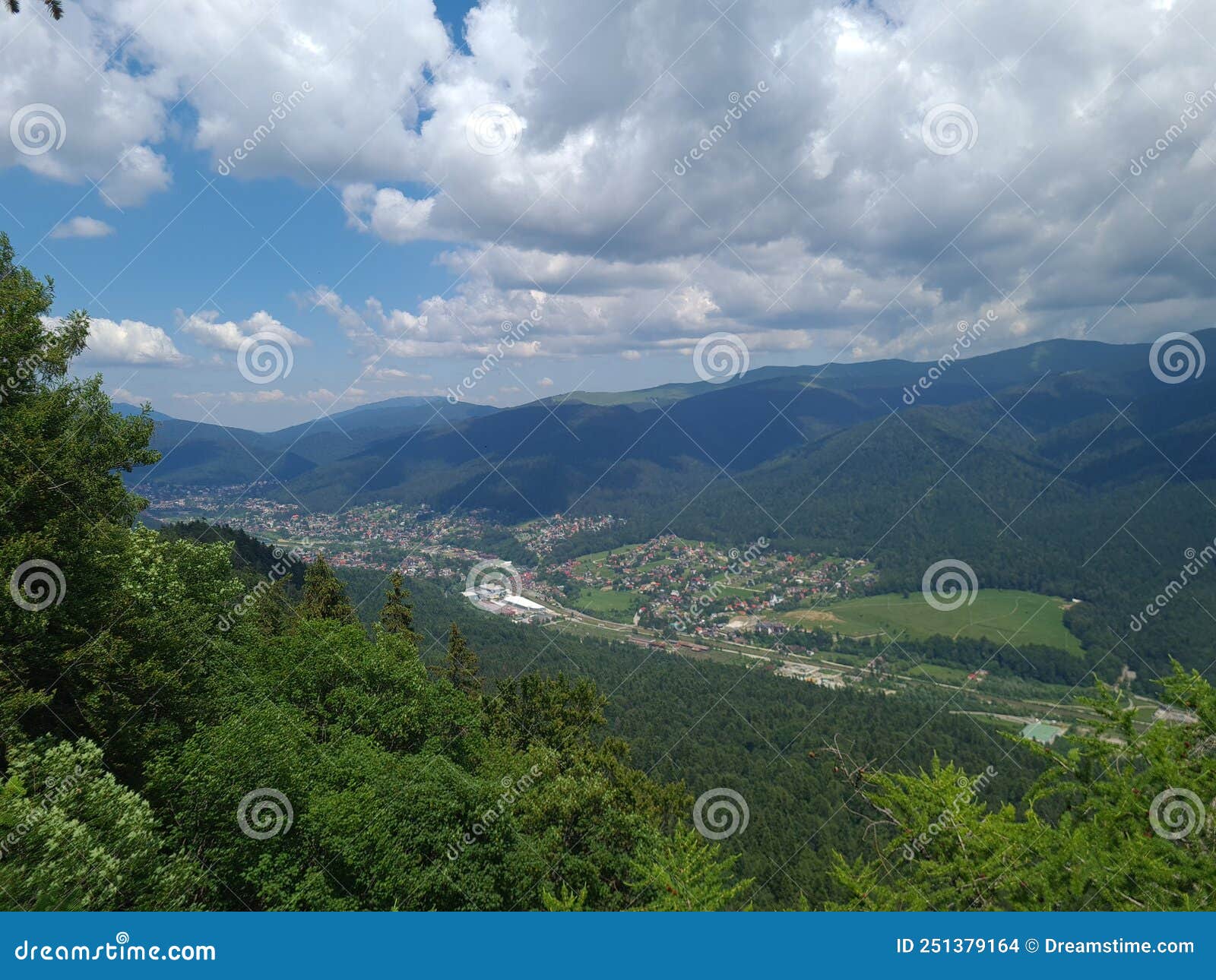 Life is Green and Green is Life Stock Photo - Image of wilderness ...