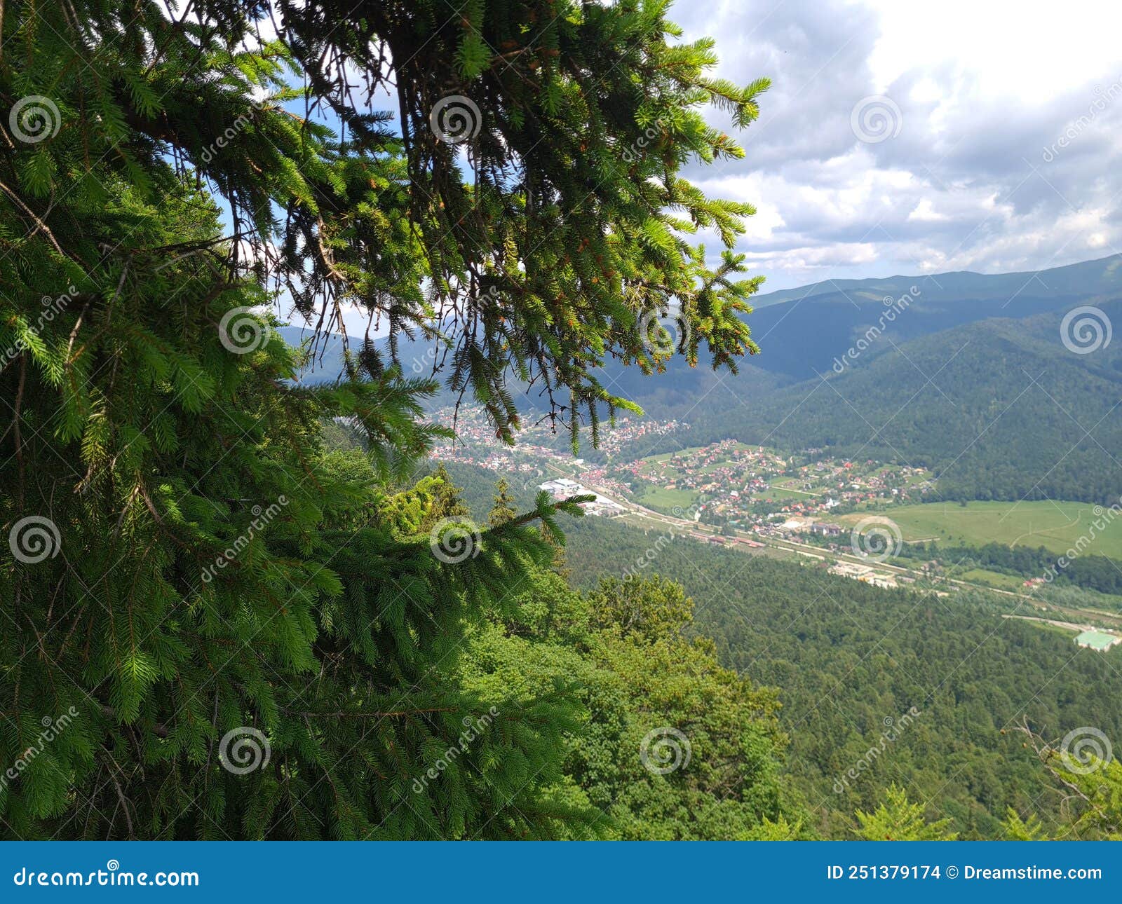 Life is Green and Green is Life Stock Photo - Image of vegetation, leaf ...