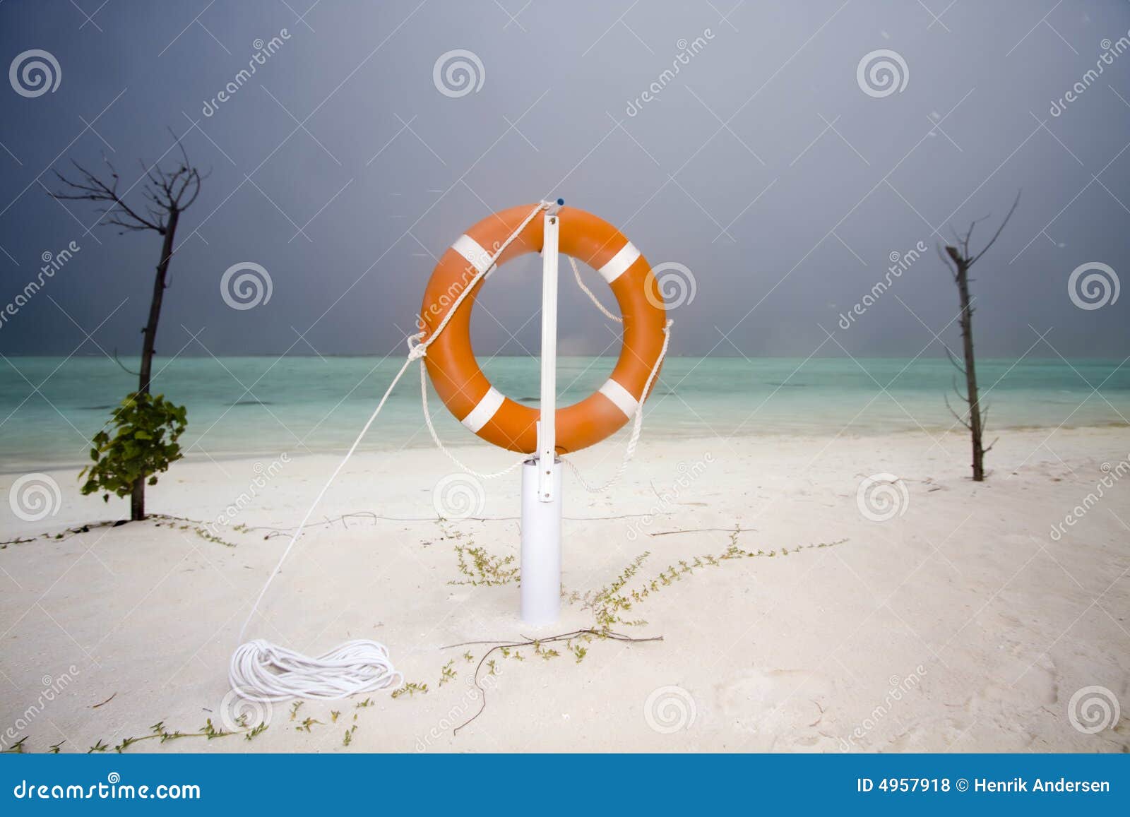 Life Guard ring stock photo. Image of life, guard, belt - 4957918