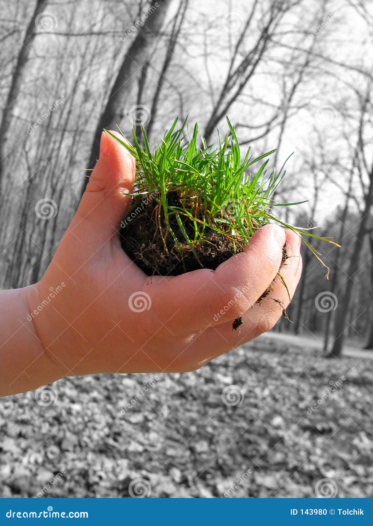 Life in a Hand stock photo. Image of walk, small, life - 143980