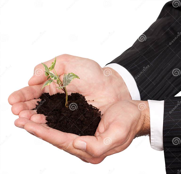Life in hands stock photo. Image of isolated, healthy - 19106306