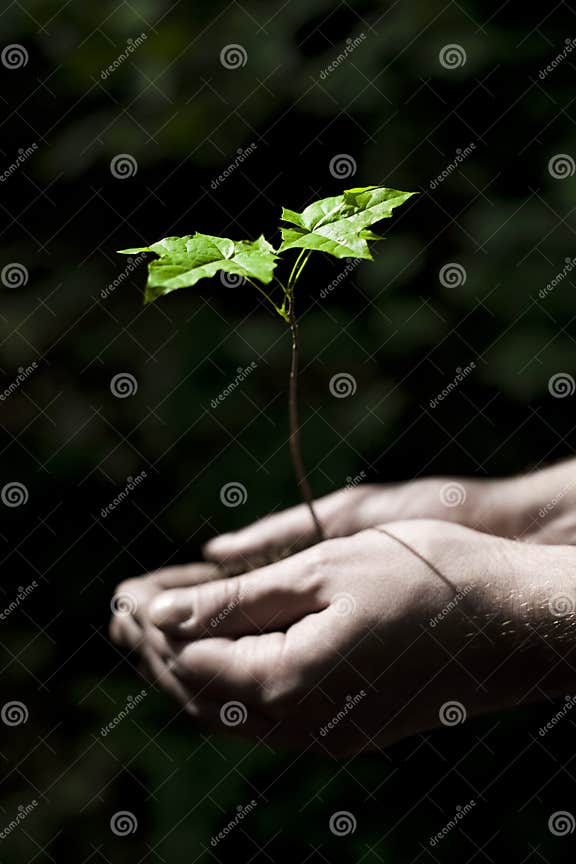 Life in Hands stock photo. Image of agriculture, hope - 5326168