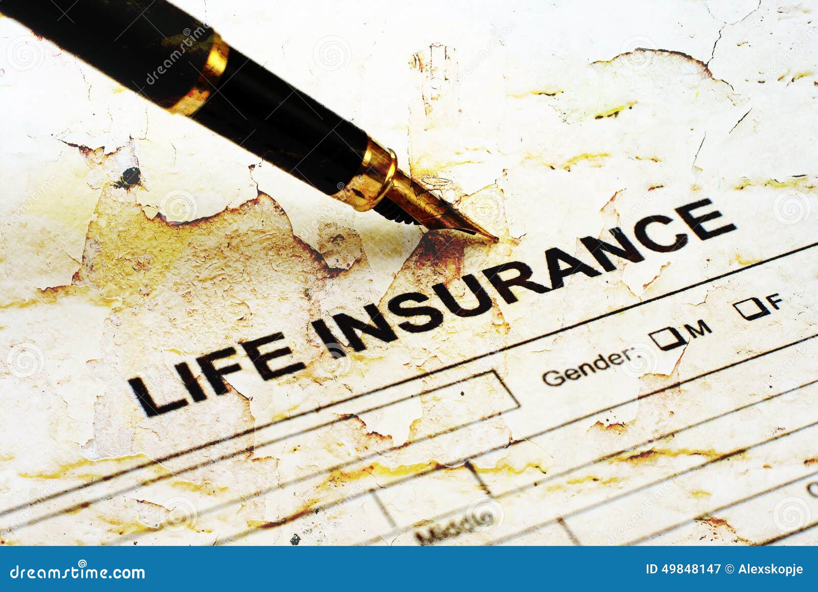 Life insurance stock image. Image of security, yellow - 49848147