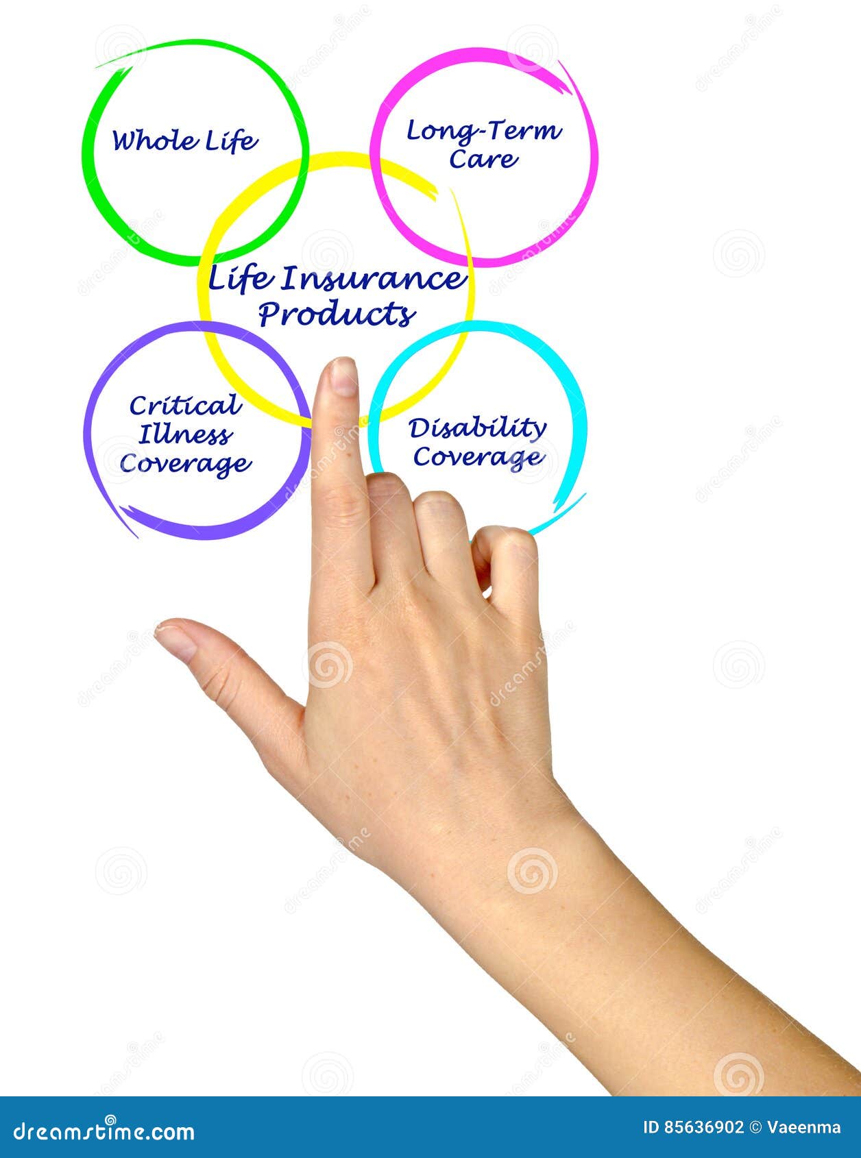 Life Insurance Products stock photo. Image of drawing - 85636902