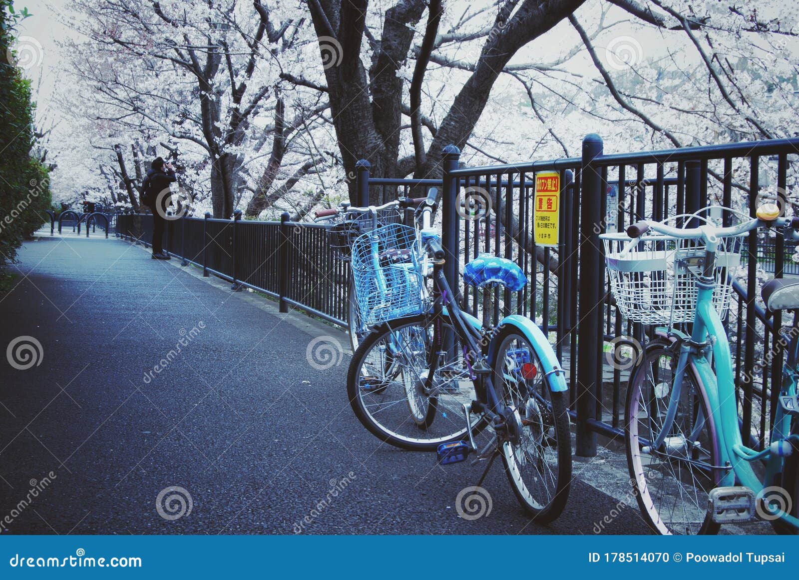 Life in Japan stock photo. Image of tokyo, life, japan - 178514070