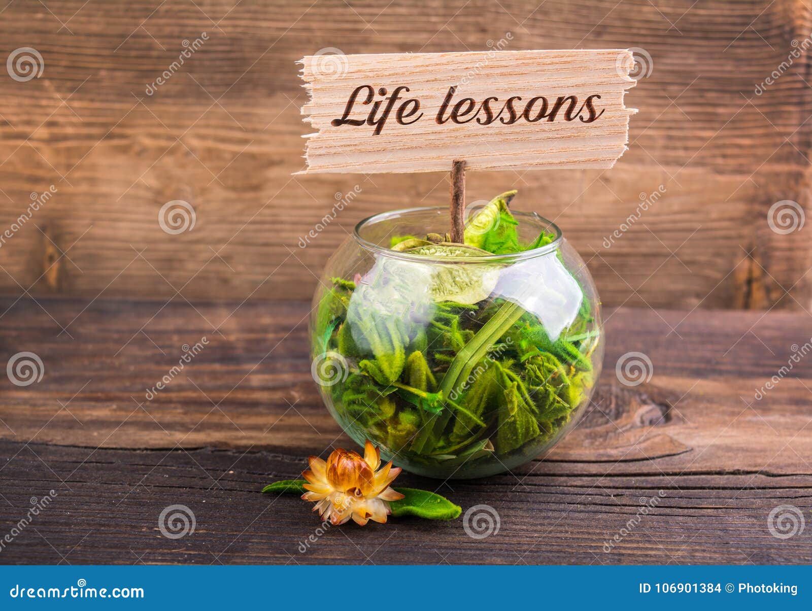 Life lessons sign stock photo. Image of communication - 106901384