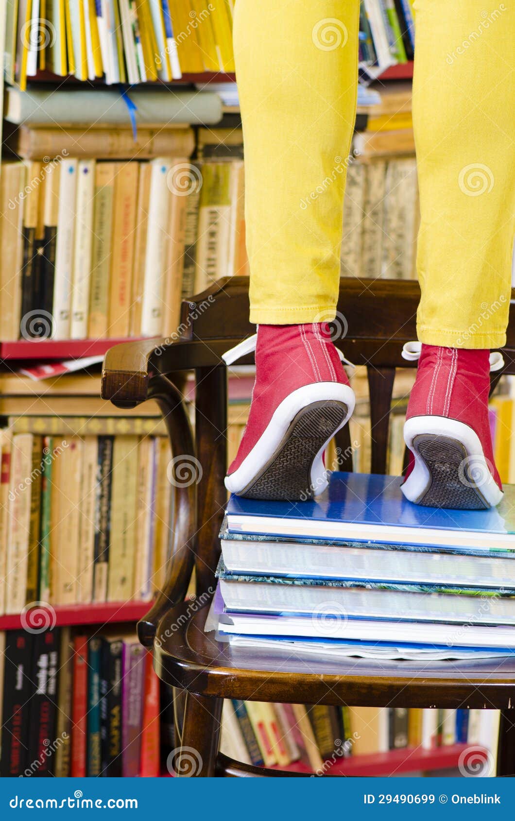 Life in Library stock image. Image of learn, bookshelf - 29490699
