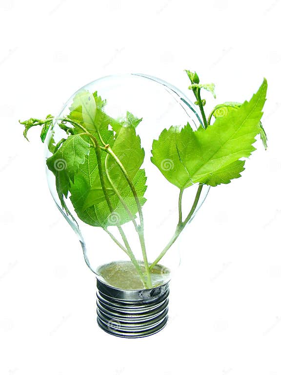 Life in light bulb stock image. Image of green, light - 10262997