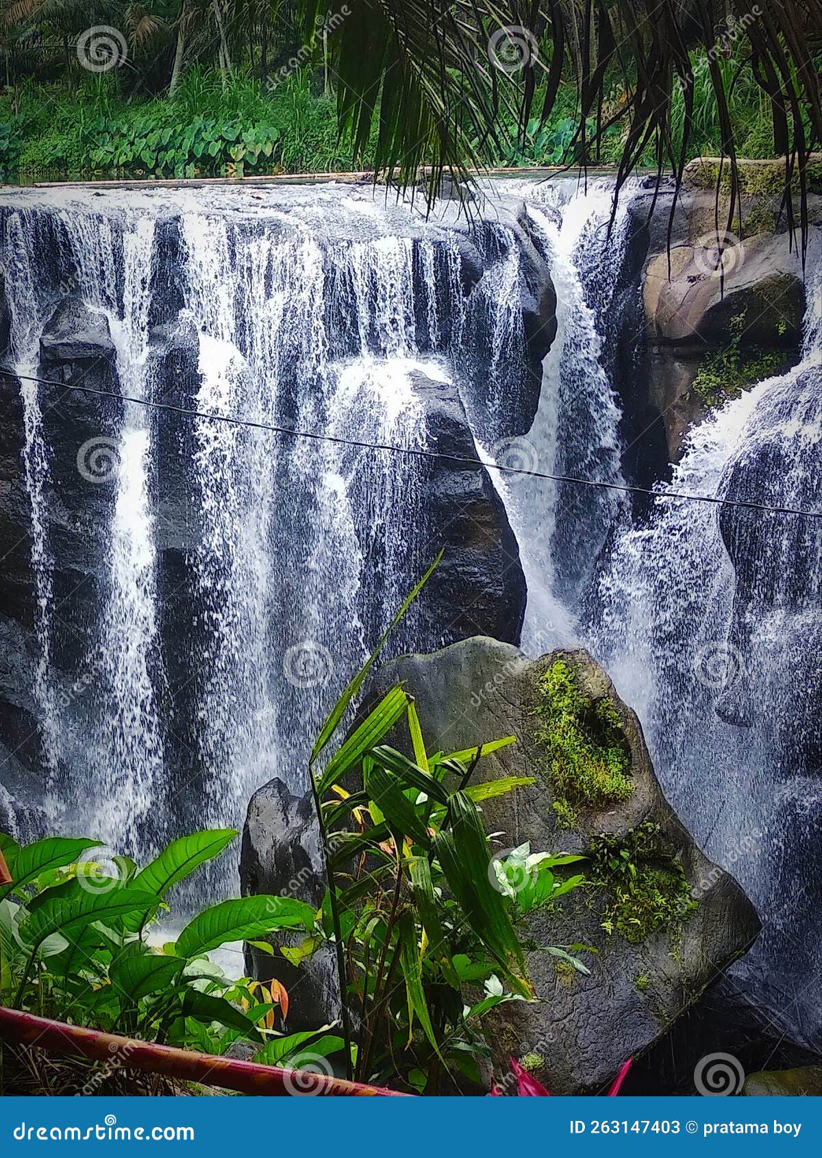 Life he is Like Flowing Water Giving Beauty and Life Stock Image ...
