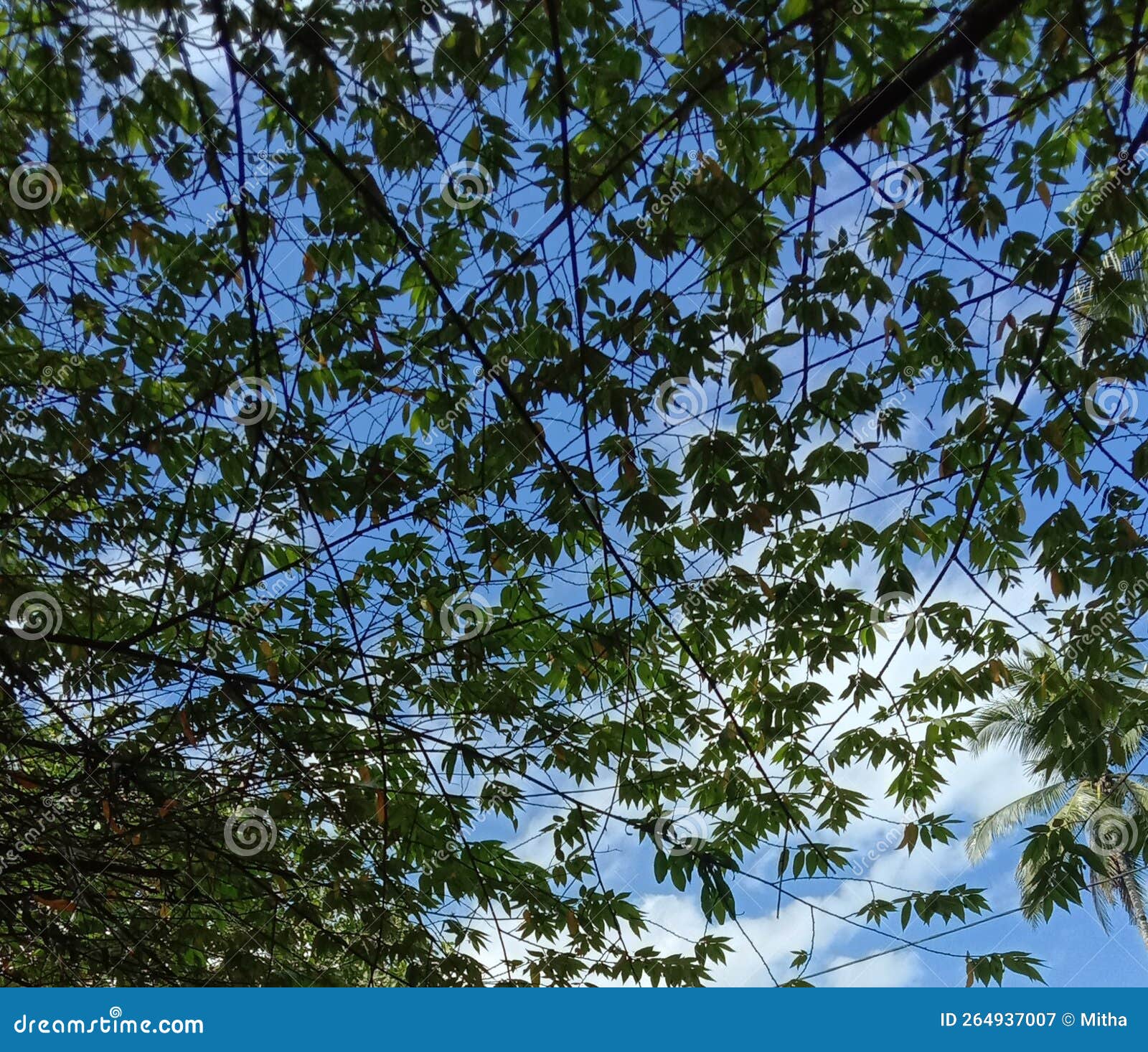 Life without Love is Like a Tree without Flowers or Fruit. Stock Image ...