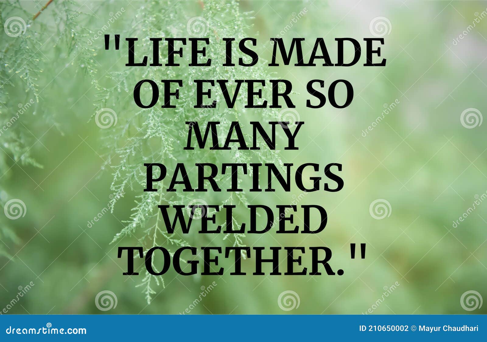 Inspirational Motivation Quote | `Life is Made of Ever so Many Partings ...