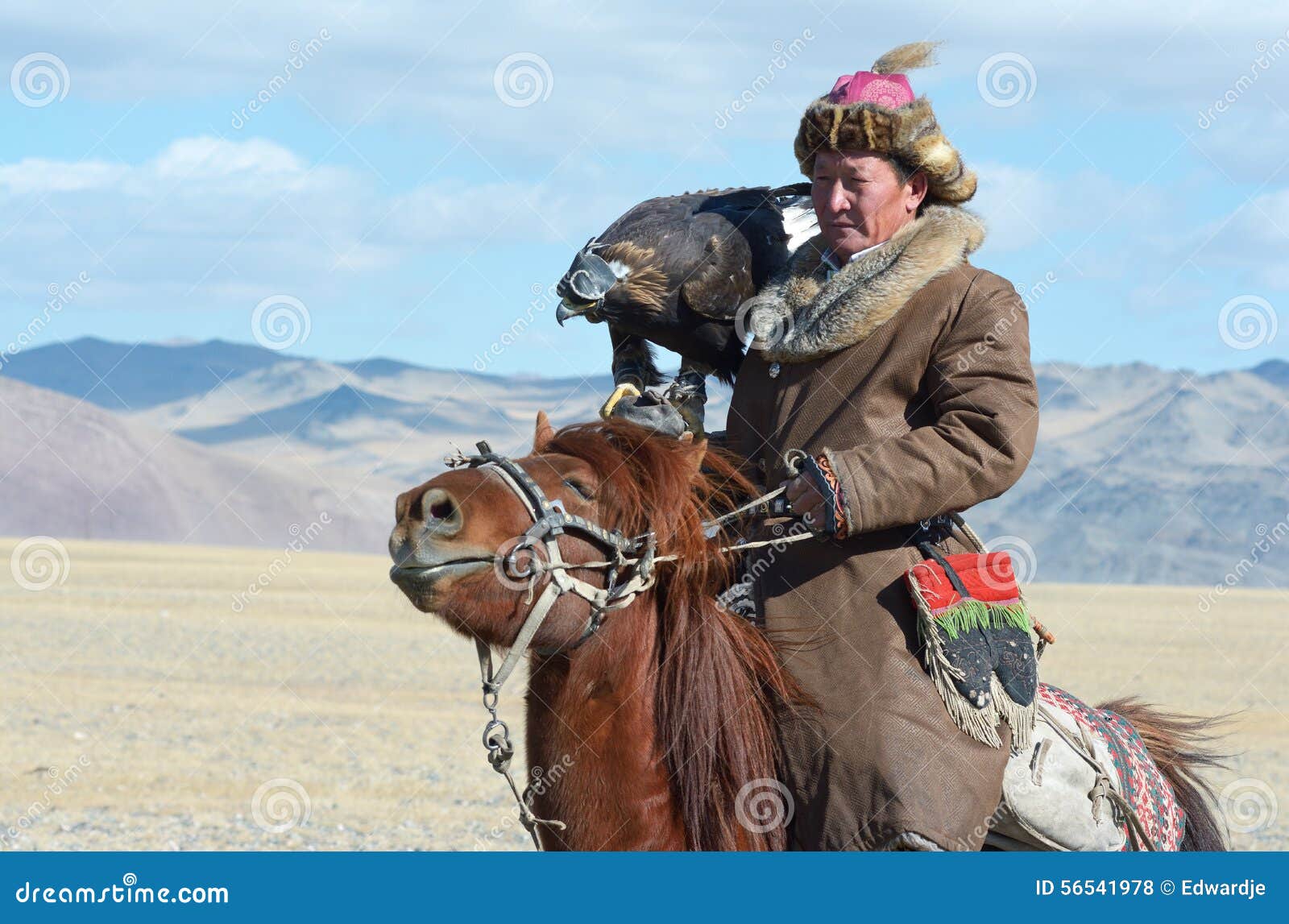 Life of the Mongolian Eagle Hunter 11 Editorial Stock Photo - Image of ...