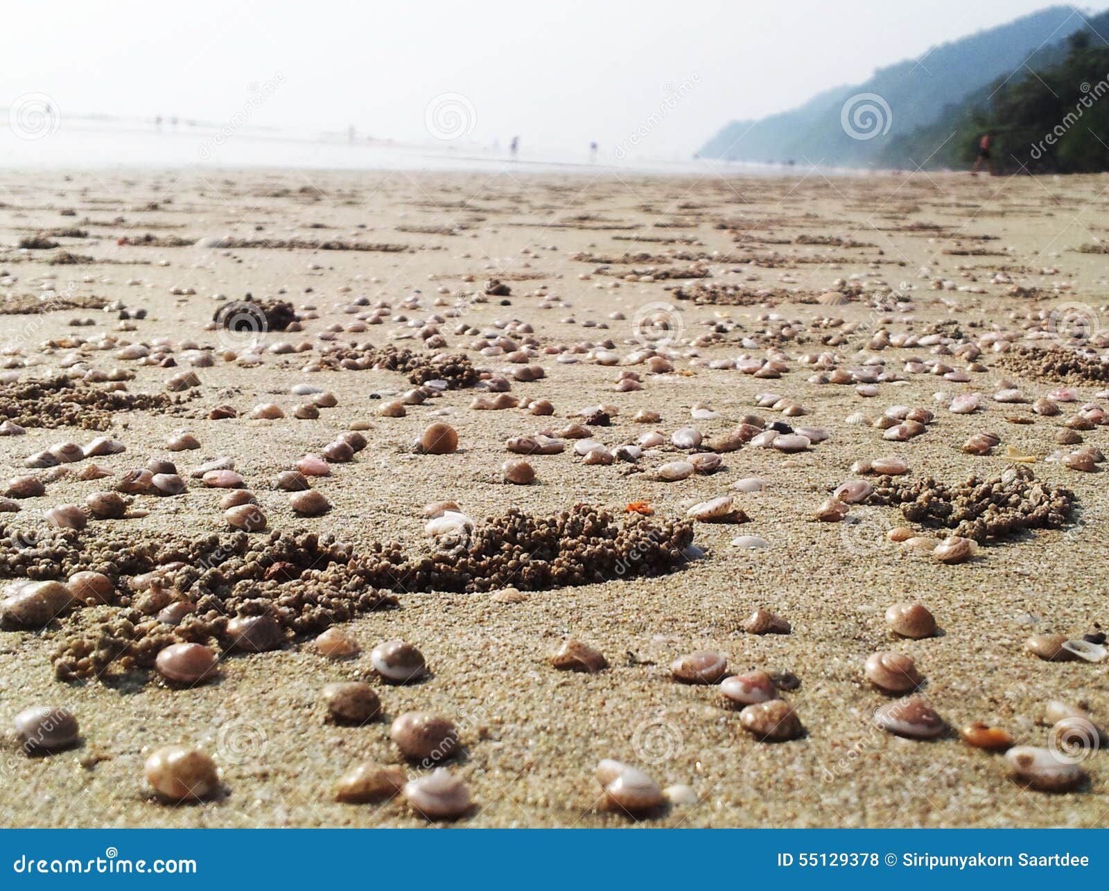 Life stock photo. Image of sand, mountain, nature, life - 55129378