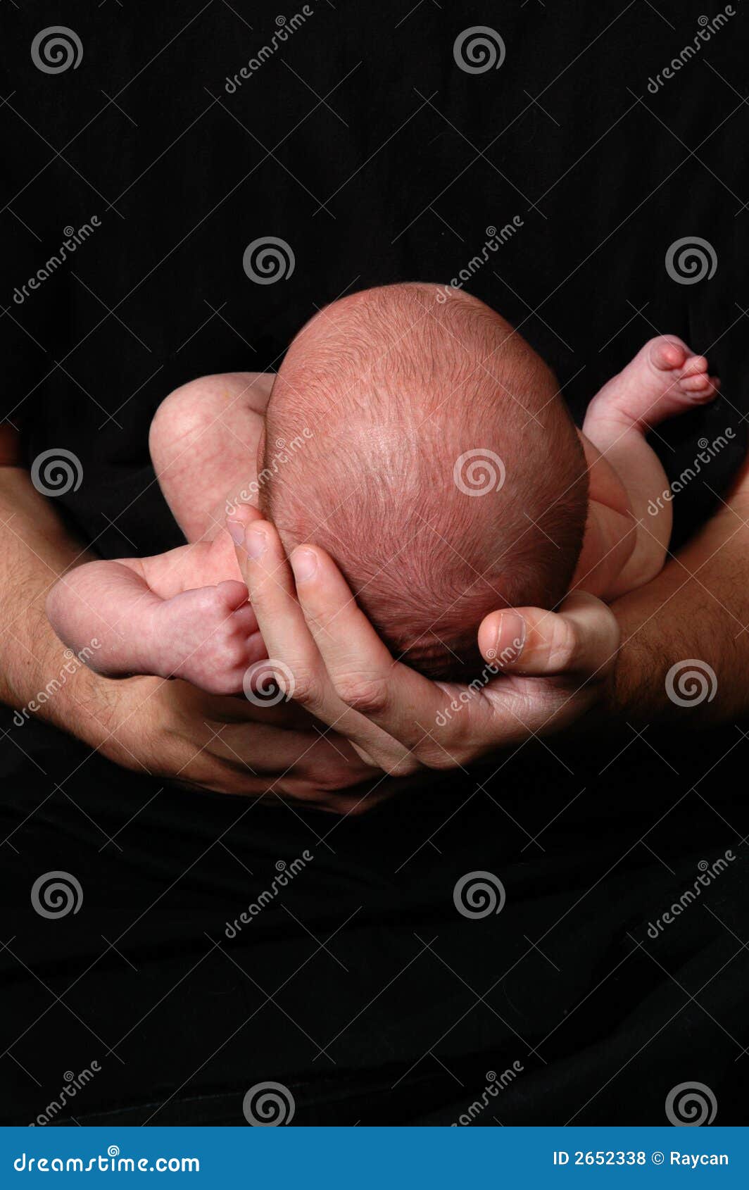 Life in Our Hands stock photo. Image of girls, fatherhood - 2652338