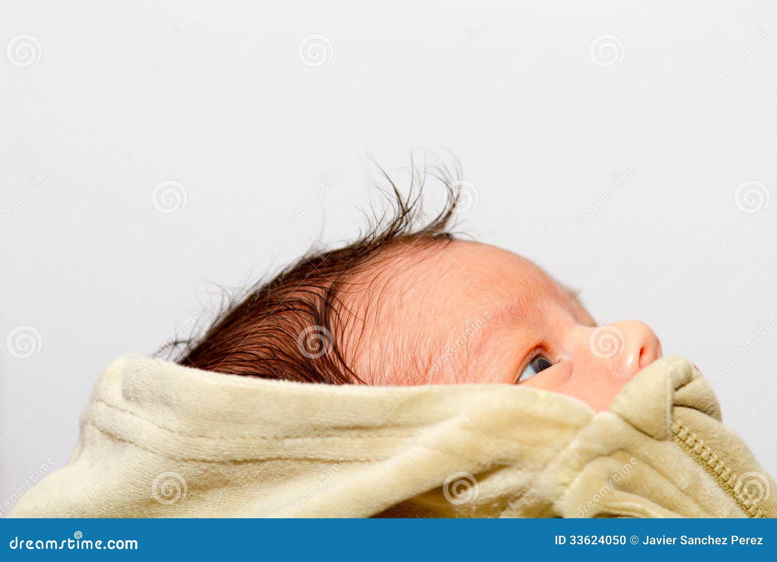 Life poking stock photo. Image of creature, look, smile - 33624050