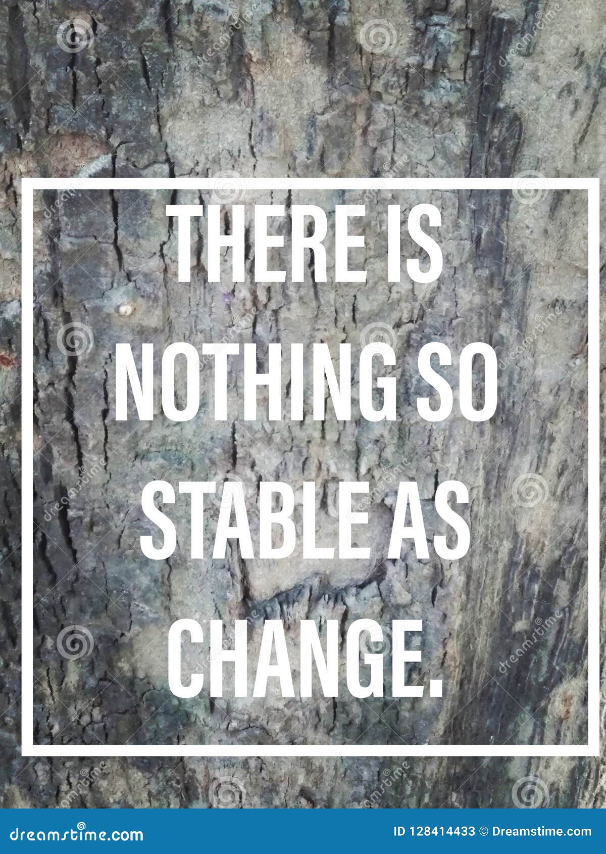 Life quote stock image. Image of quote, stable, life - 128414433