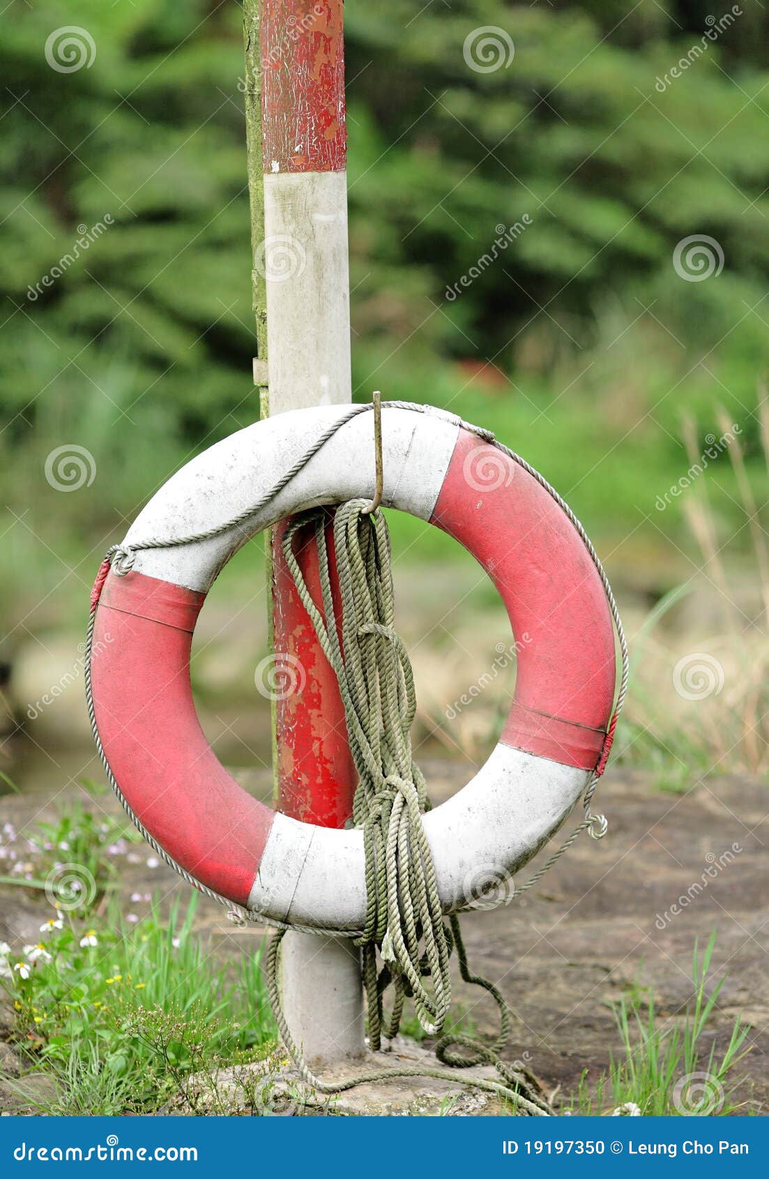 Life ring stock photo. Image of lifeguard, safety, antique - 19197350