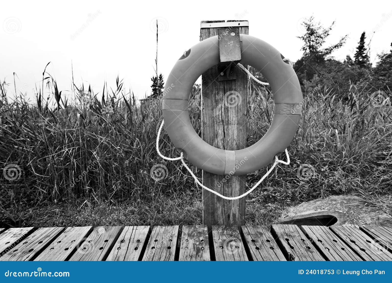 Life ring in wild stock image. Image of lifeguard, lifesaving - 24018753