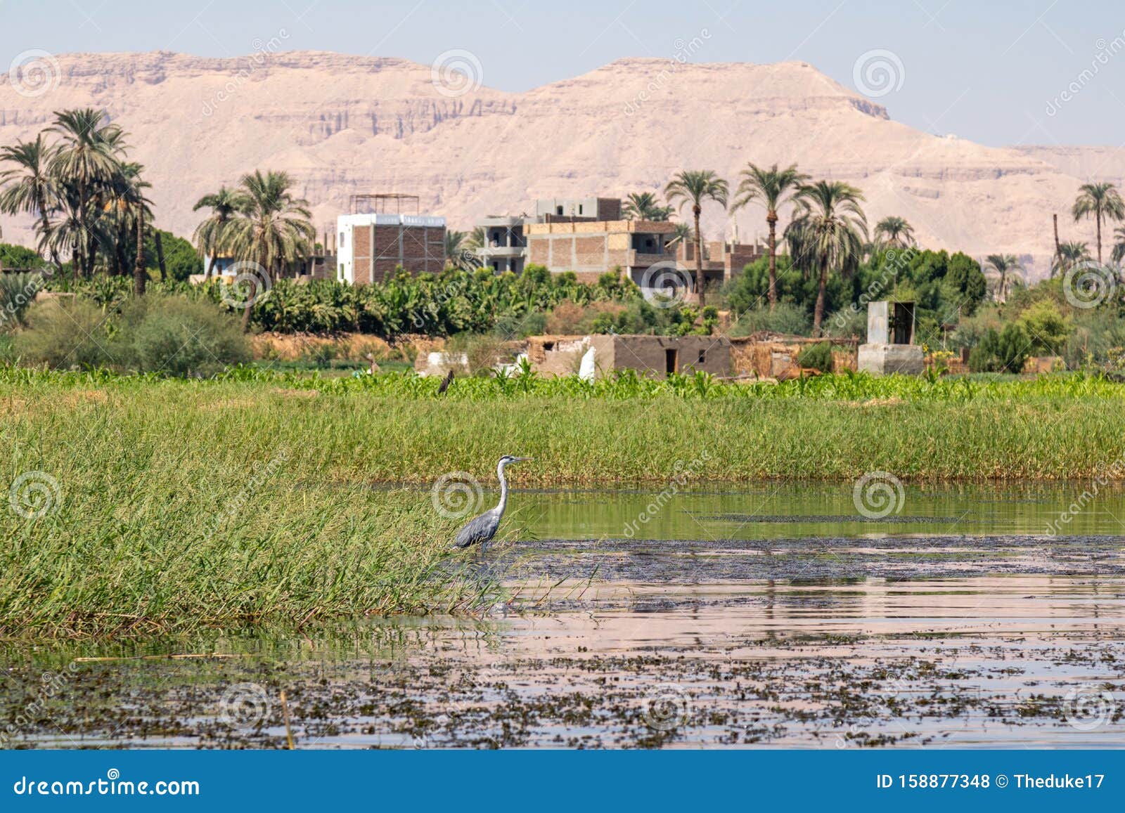 Life on the River Nile stock photo. Image of clouds - 158877348
