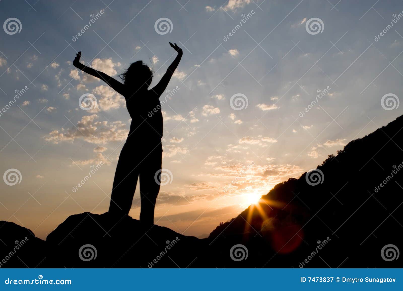 Life s enjoyment stock image. Image of serene, silhouette - 7473837