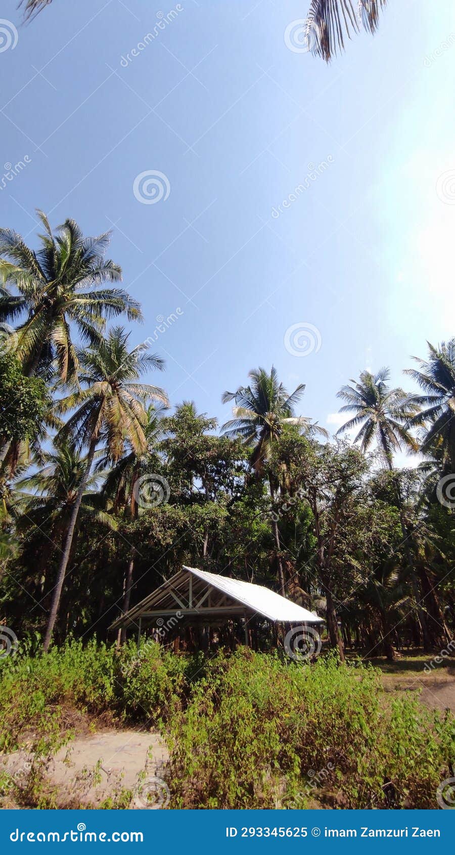 Life in a Safe and Peaceful Village at Lombok Stock Image - Image of ...