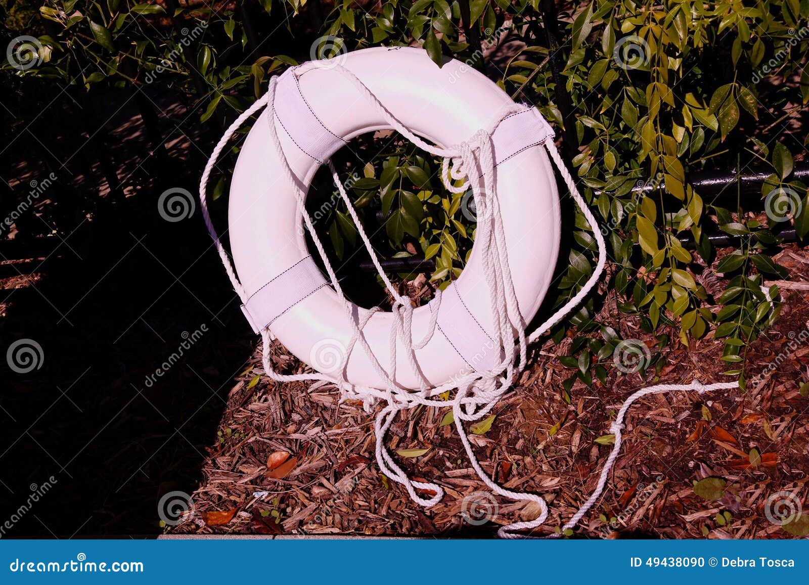 Life saver ring stock photo. Image of lifesaver, poolside - 49438090