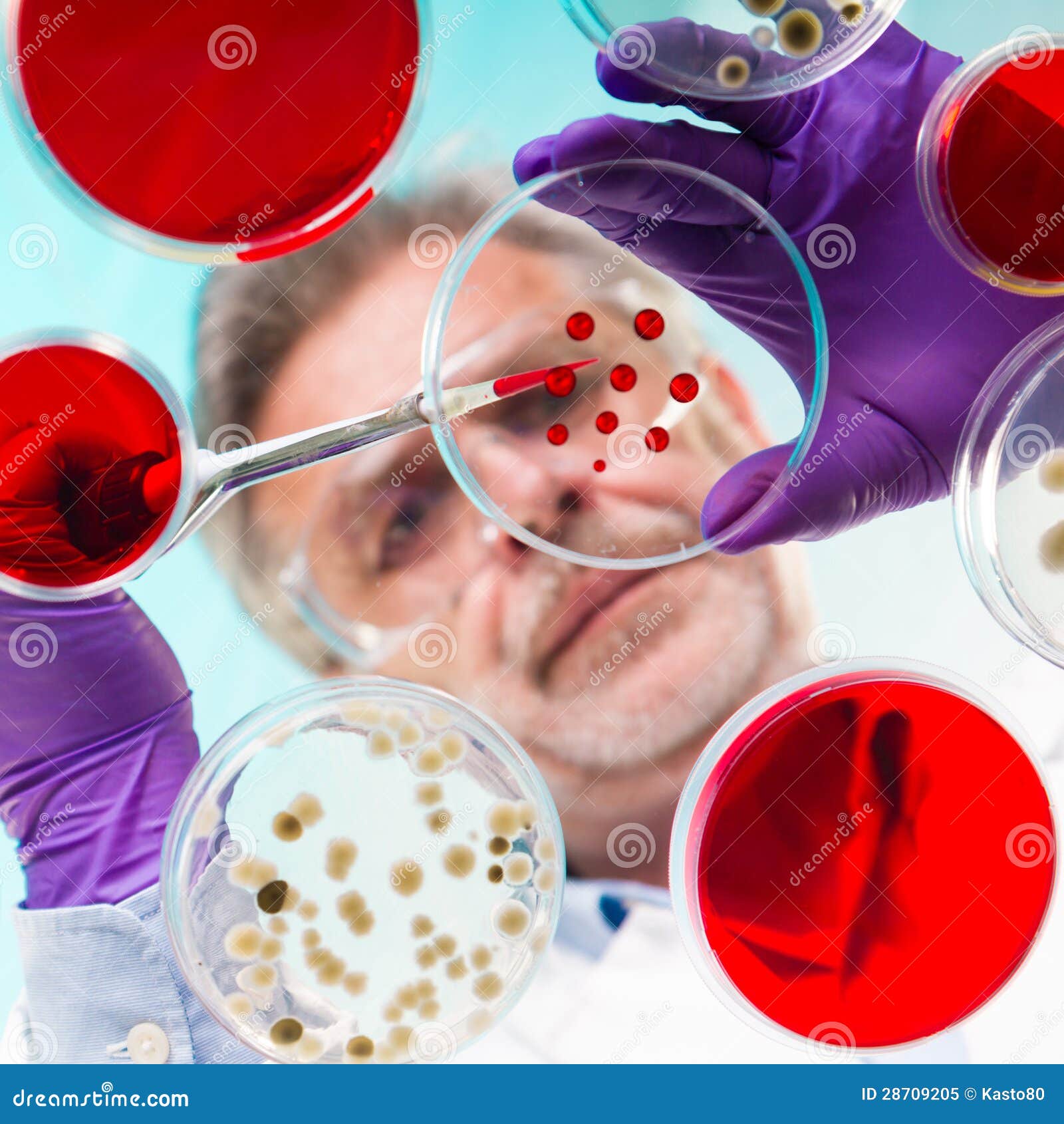 Life science stock image. Image of biochemistry, dish - 28709205