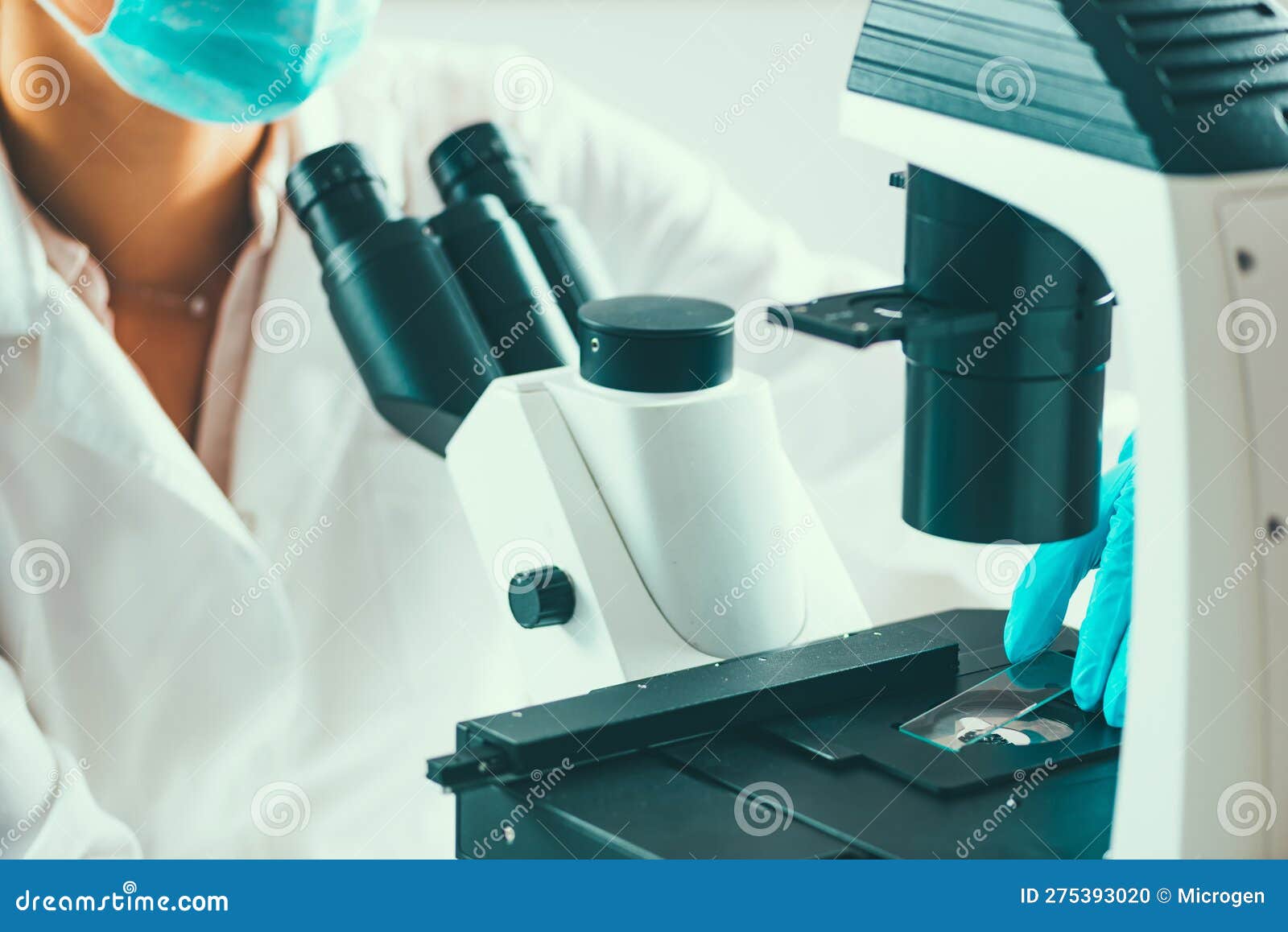 Life Science Laboratory Work Stock Photo - Image of life, equipment ...