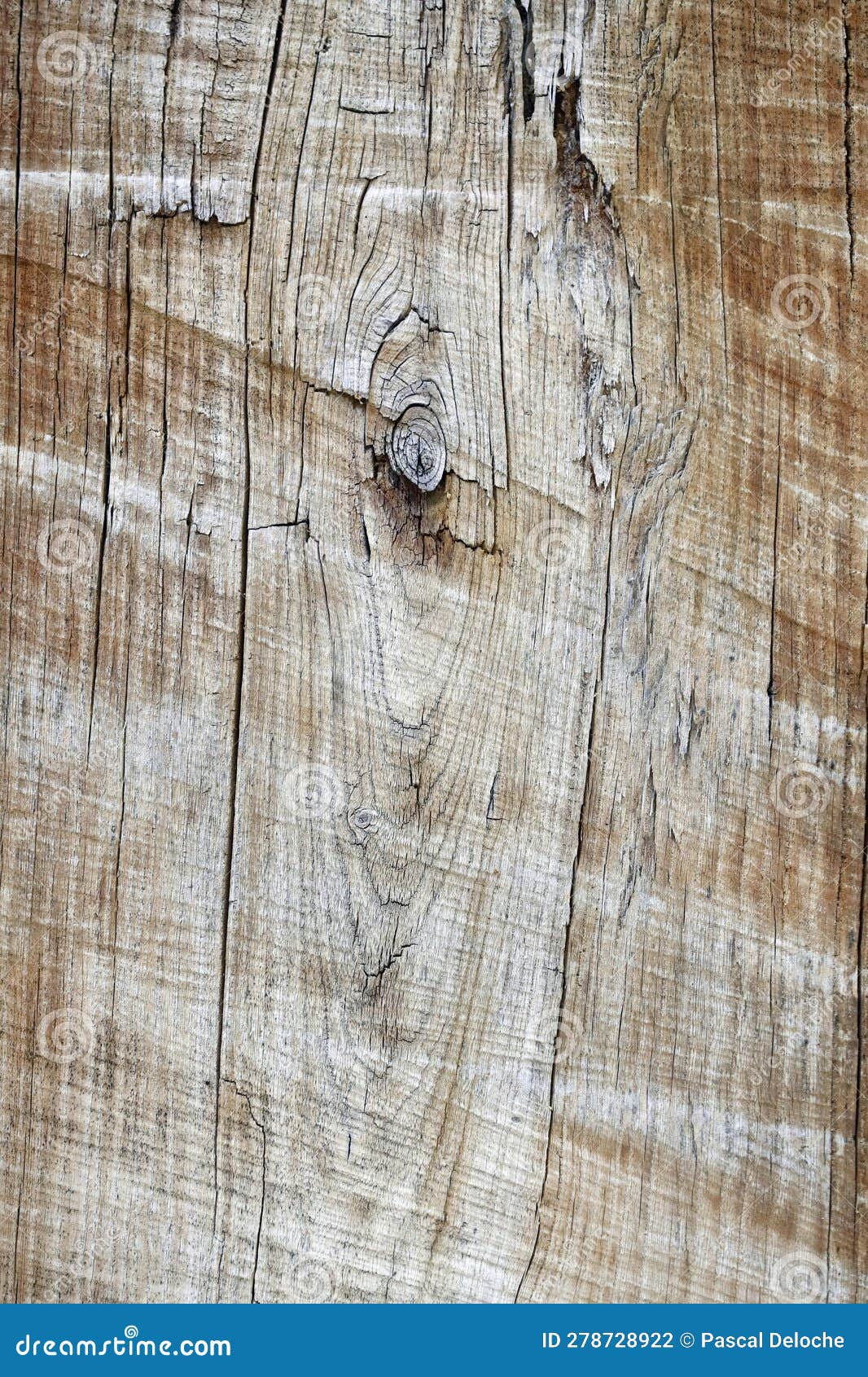 Daily life. Spain stock photo. Image of madrid, life - 278728922