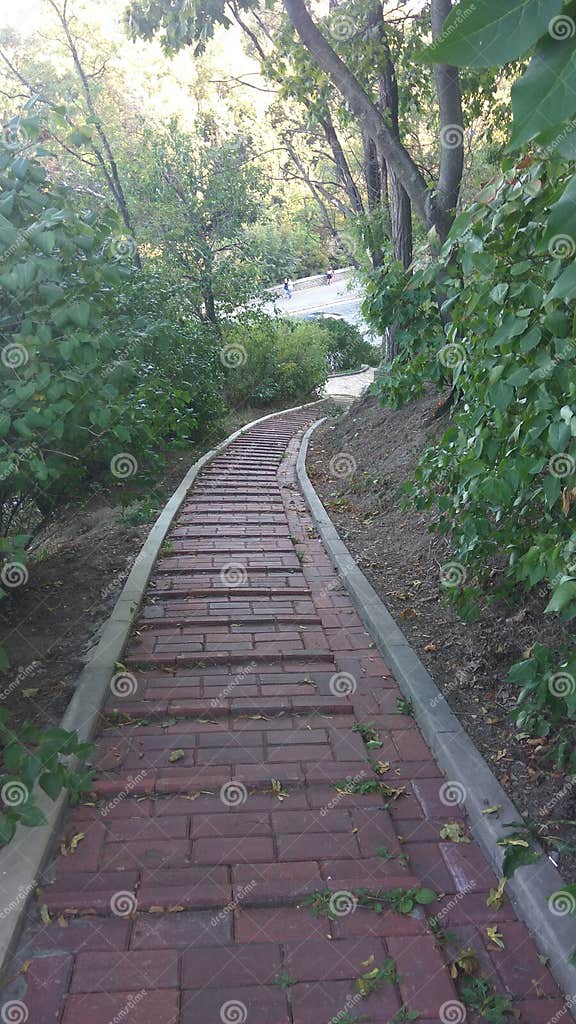 Life steps stock image. Image of flora, kiev, steps - 103235435