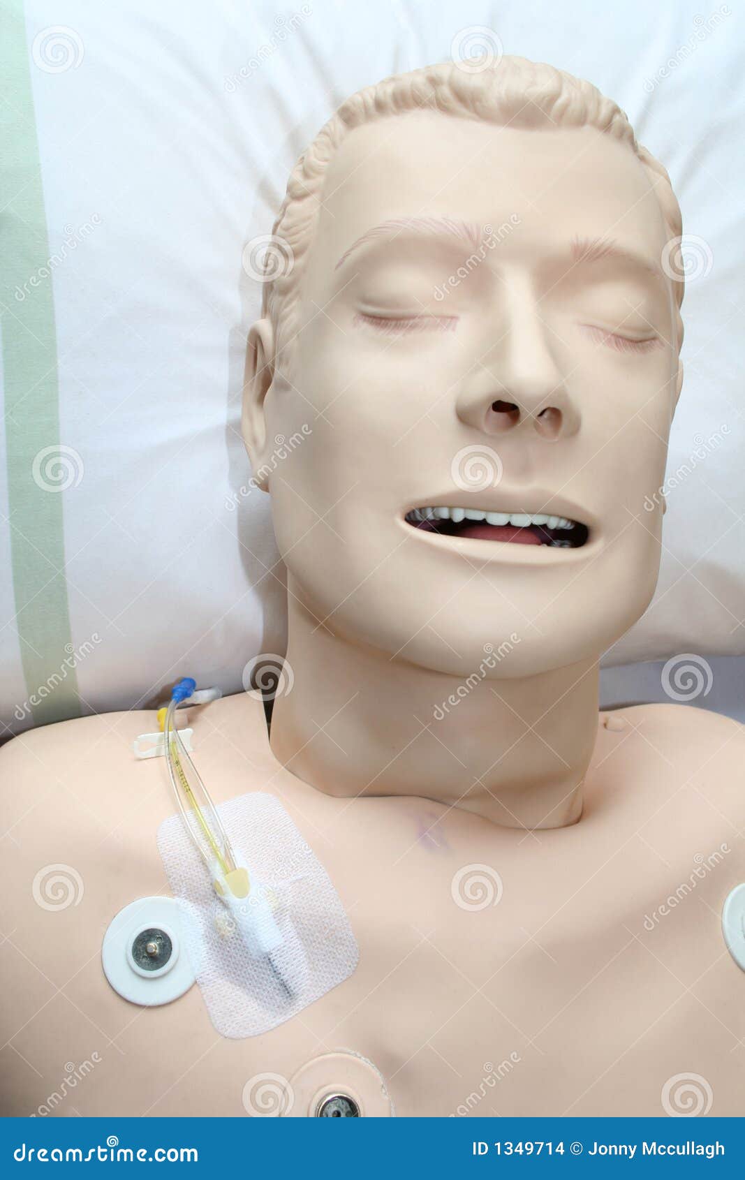 Life Support Dummy stock photo. Image of blood, dummy - 1349714