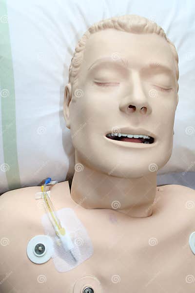 Life Support Dummy stock photo. Image of blood, dummy - 1349714