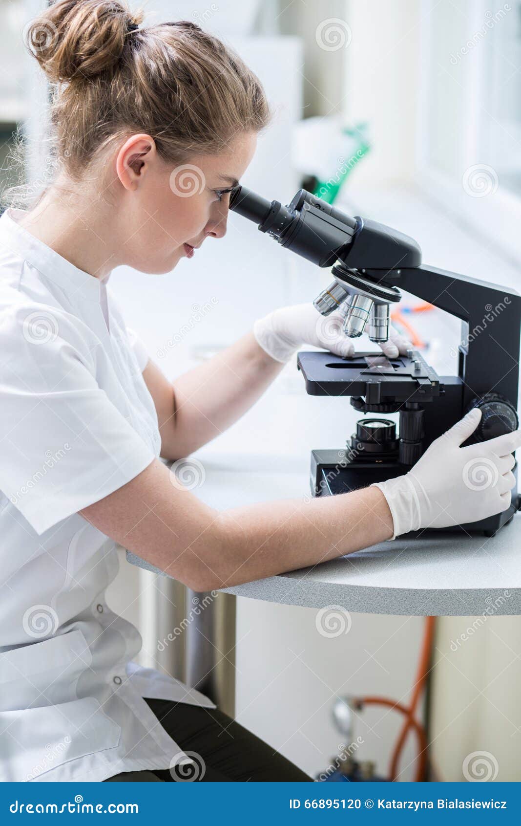 Life under the microscope stock photo. Image of chemistry - 66895120