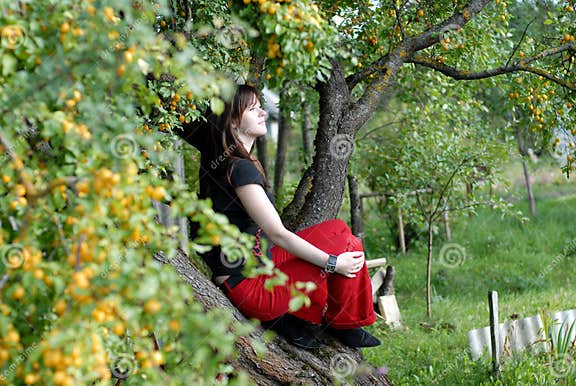 Life in village stock photo. Image of land, nature, leisure - 8141004