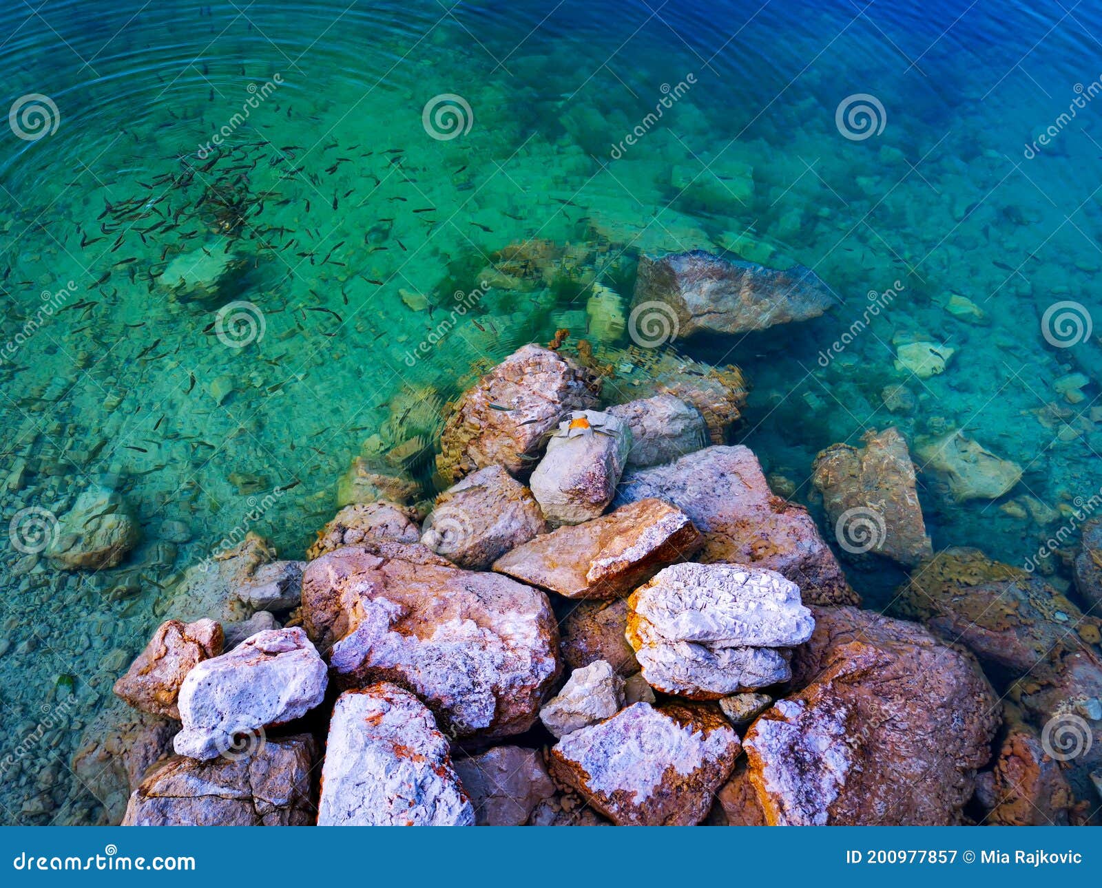 The life in water stock image. Image of nature, rocks - 200977857