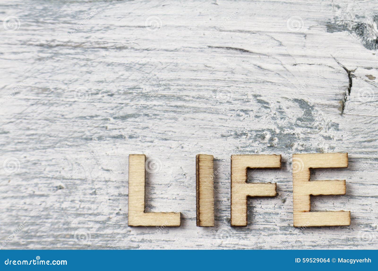 Life stock photo. Image of balance, wooden, family, success - 59529064