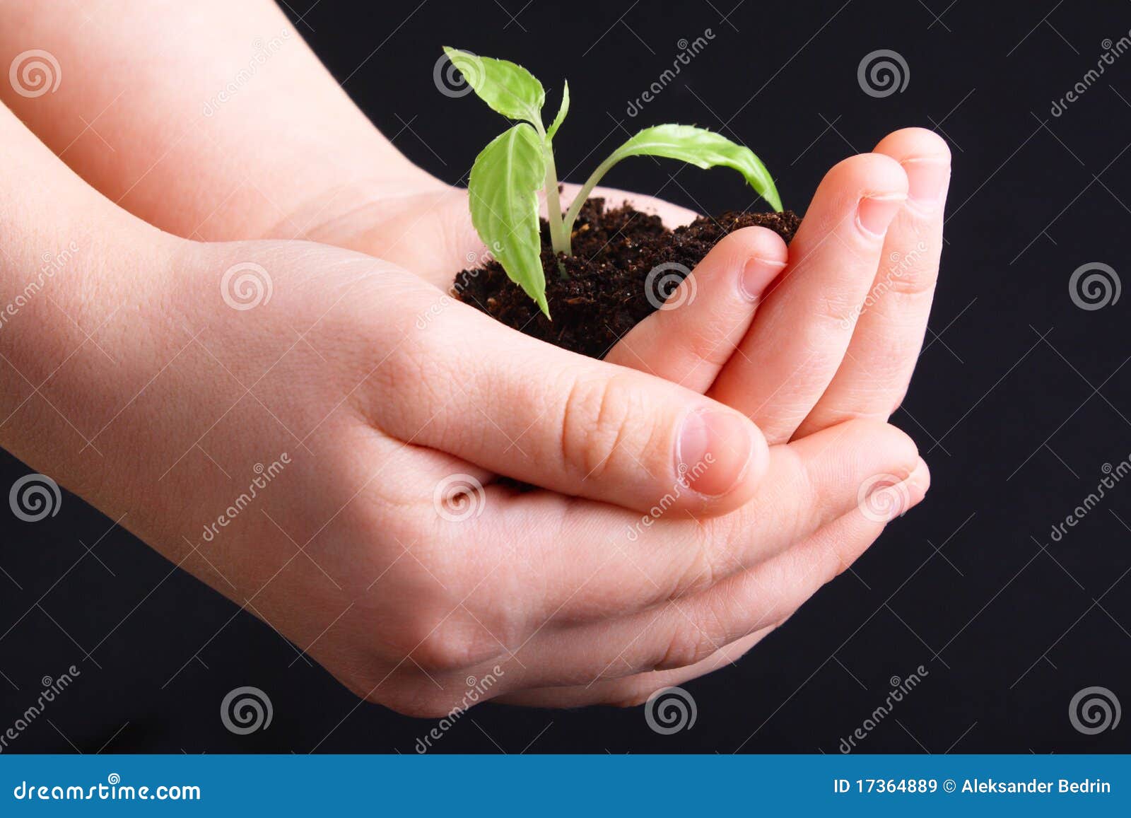 Life in your hands stock image. Image of growing, ground - 17364889