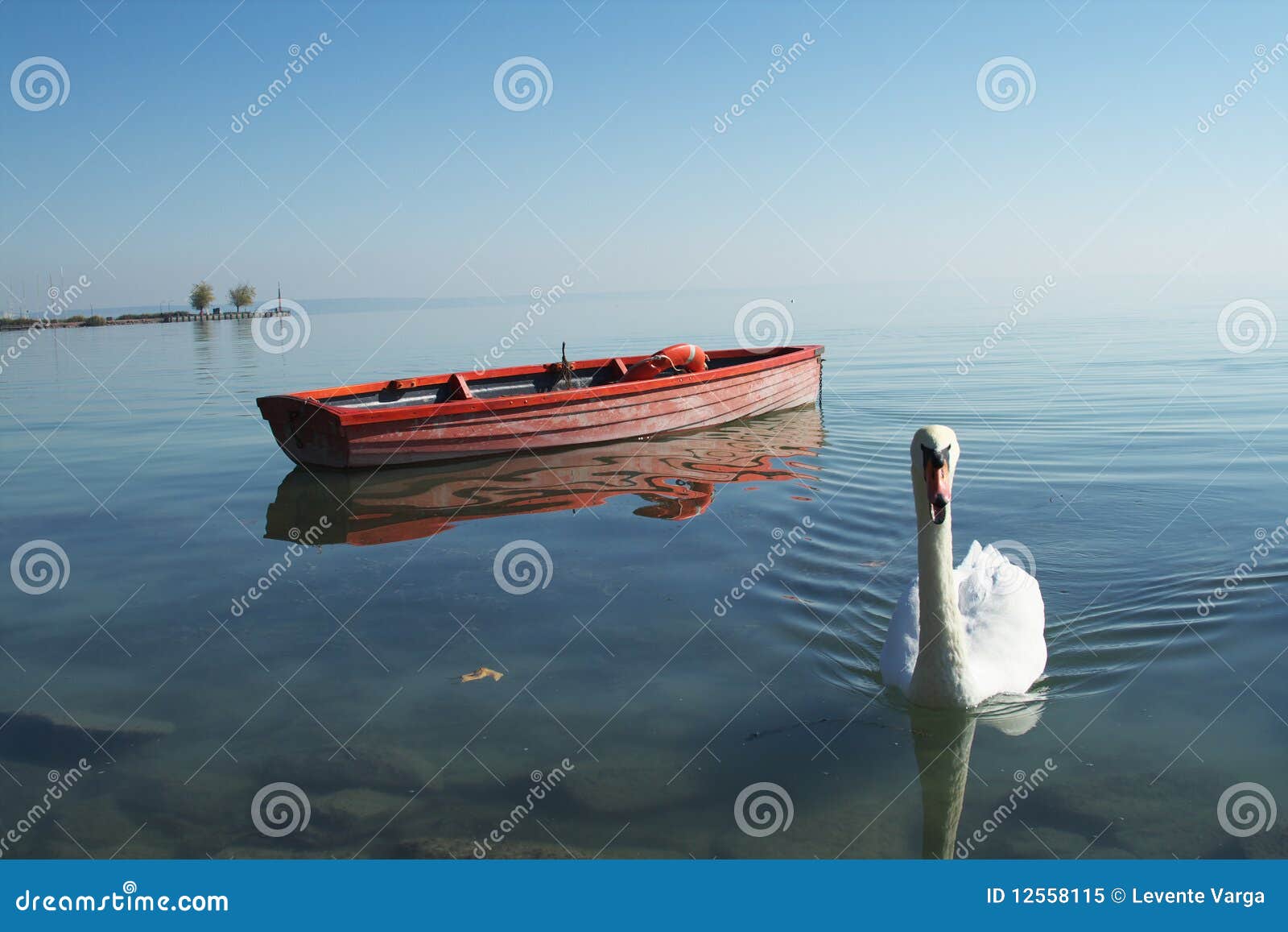 Lifeboat. stock image. Image of nature, animal, boating - 12558115