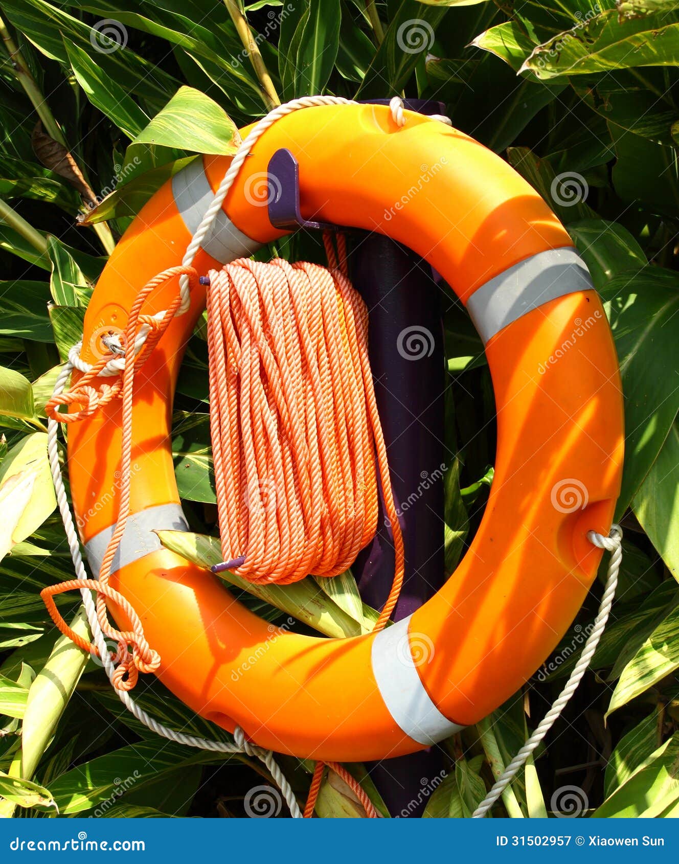 Lifebuoy stock image. Image of guard, help, lifesaver - 31502957