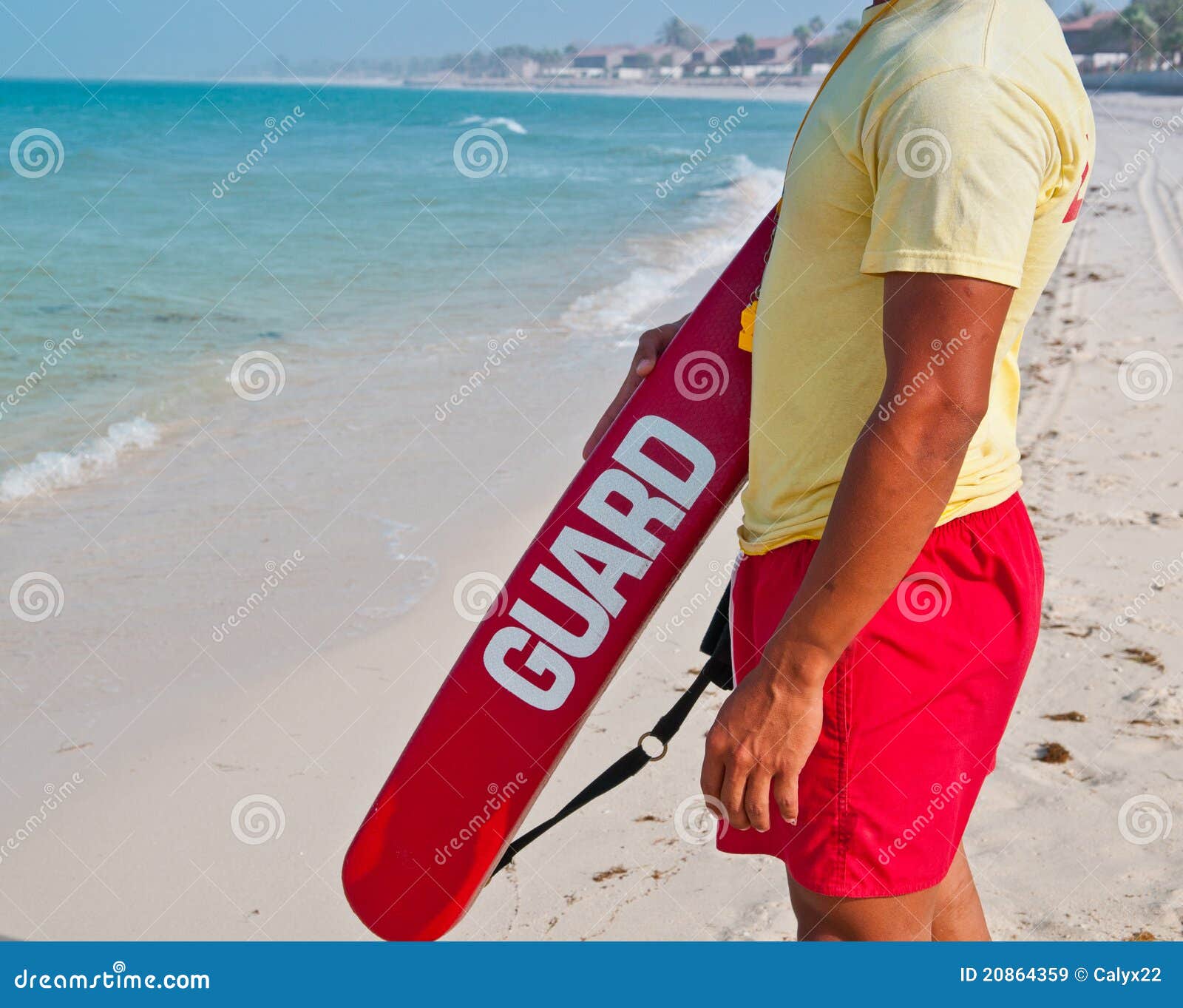 The Lifeguard stock image. Image of swim, lifeguard, male - 20864359