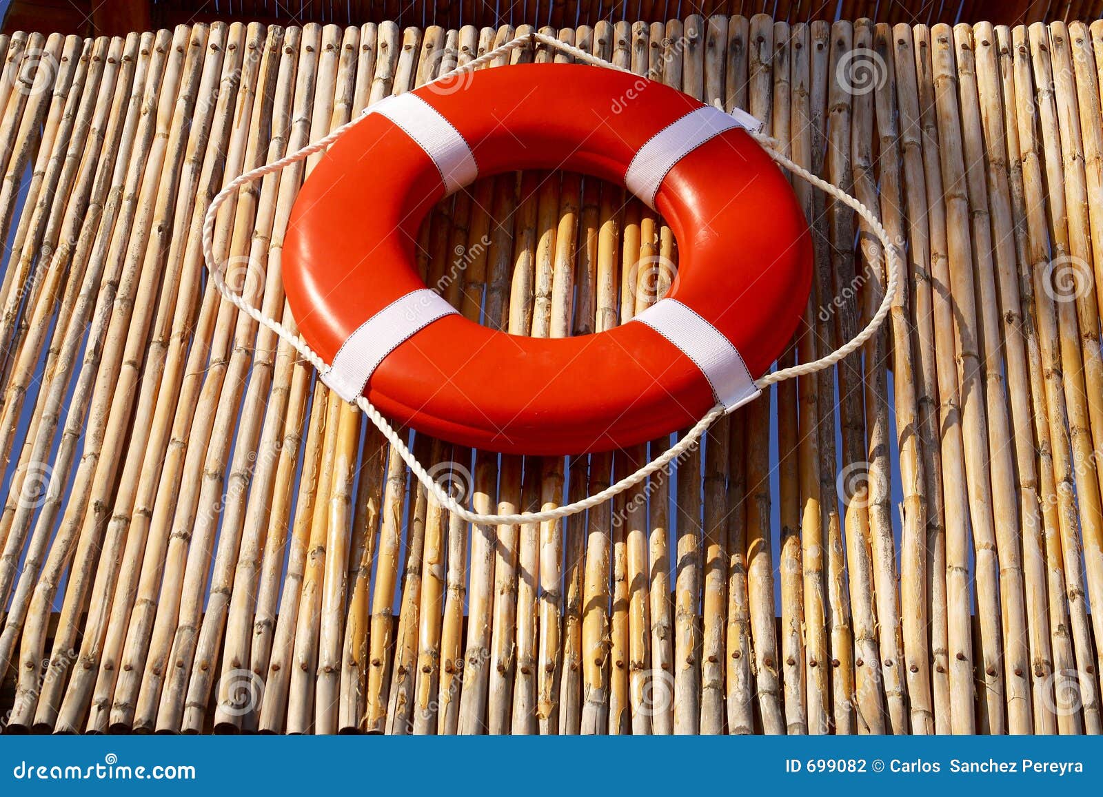 Lifeguard Buoy stock photo. Image of home, travel, danger - 699082