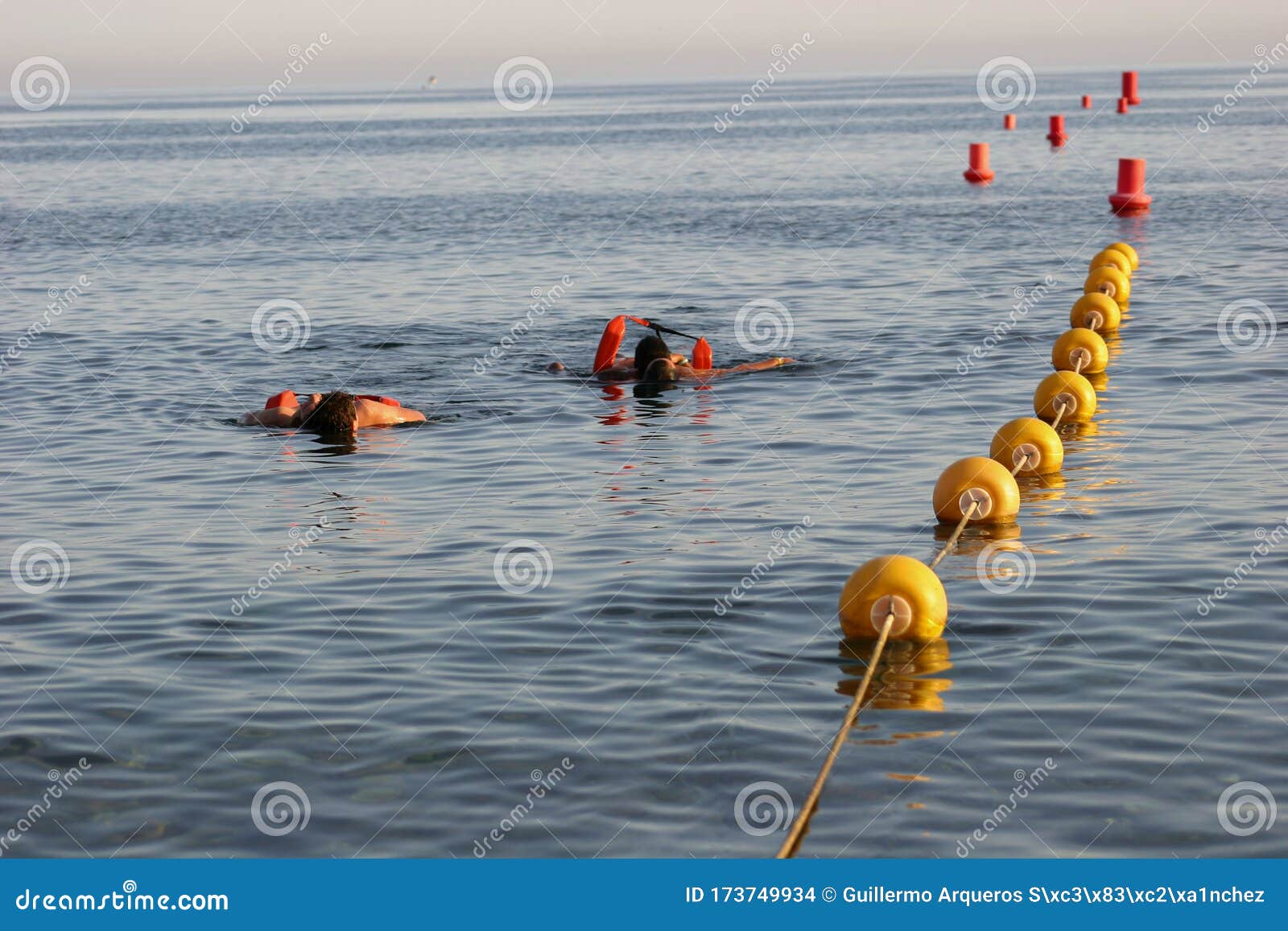 Lifeguard editorial stock image. Image of lifeguard - 173749934