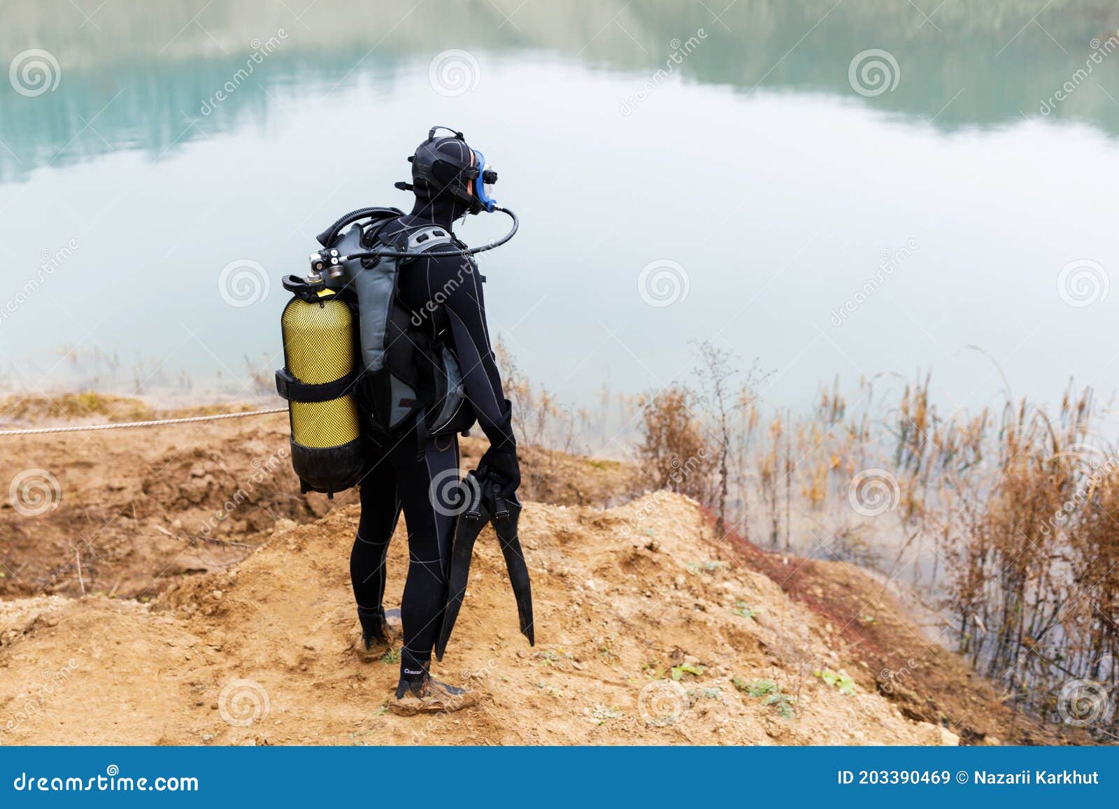 A Lifeguard in a Wetsuit is Preparing To Dive into the Pond. Search at ...