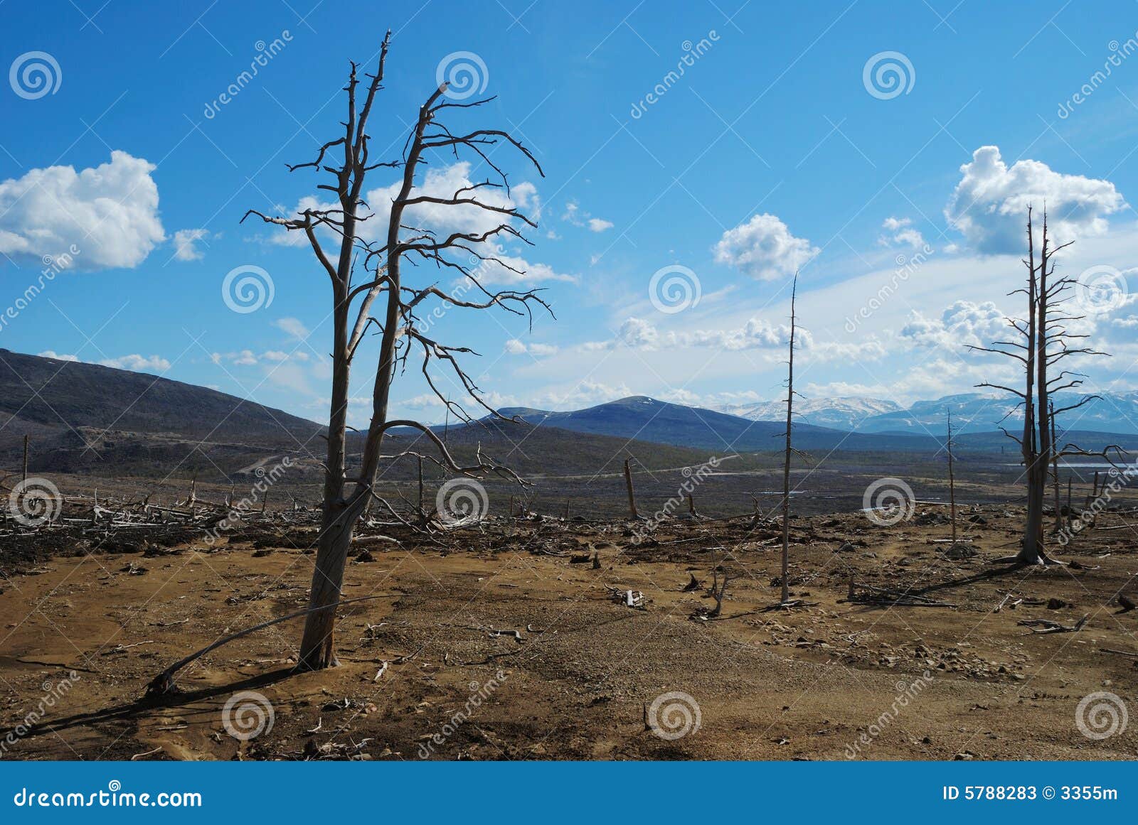Lifeless land stock image. Image of landscape, stump, cracked - 5788283