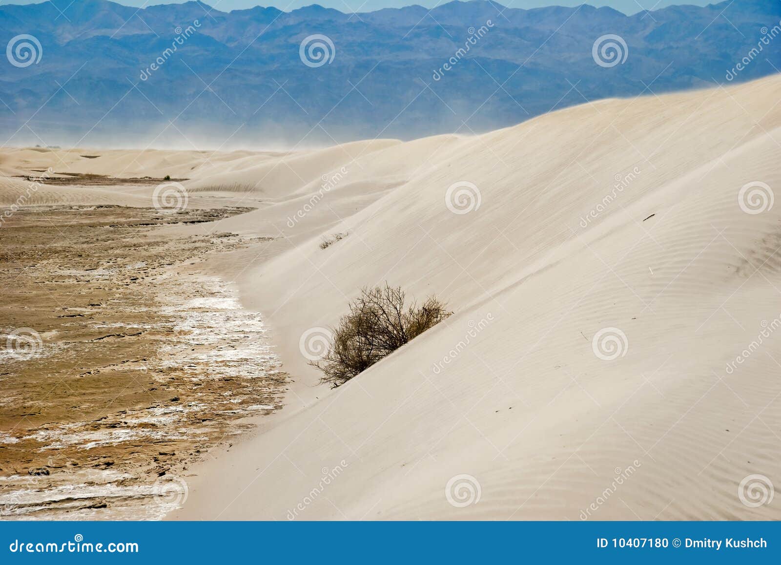Lifeless landscape stock photo. Image of heat, horizon - 10407180