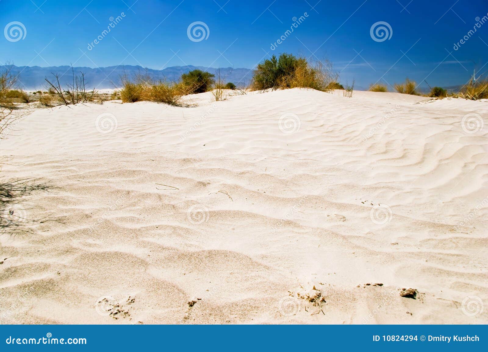 Lifeless landscape stock photo. Image of death, dead - 10824294