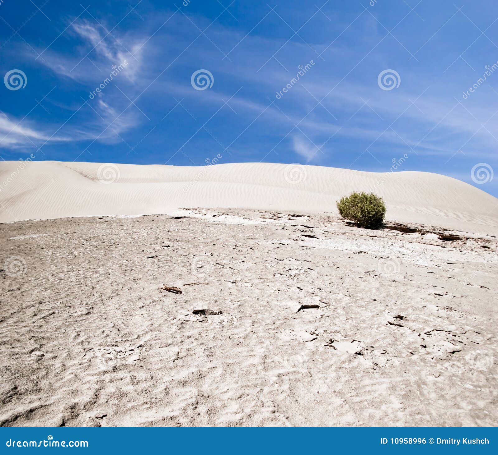 Lifeless landscape stock photo. Image of death, geology - 10958996