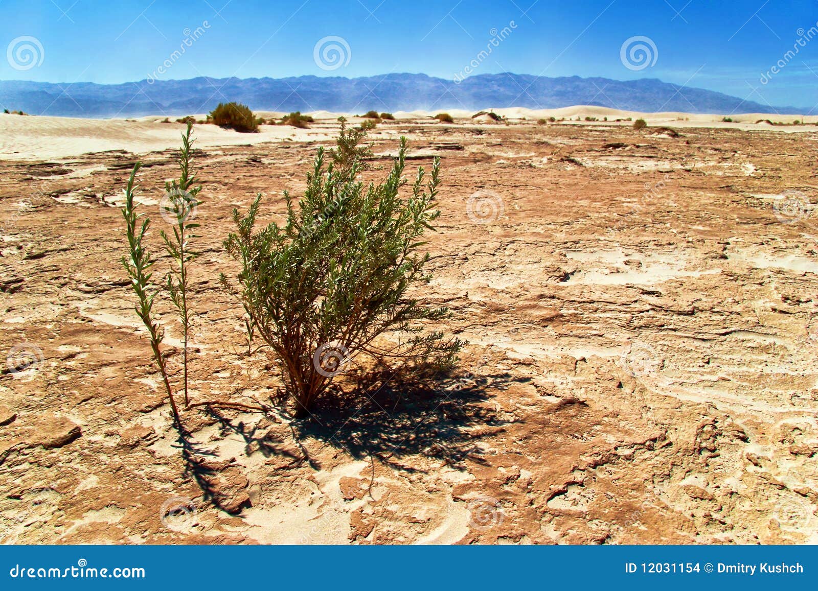 Lifeless landscape stock photo. Image of hill, formation - 12031154