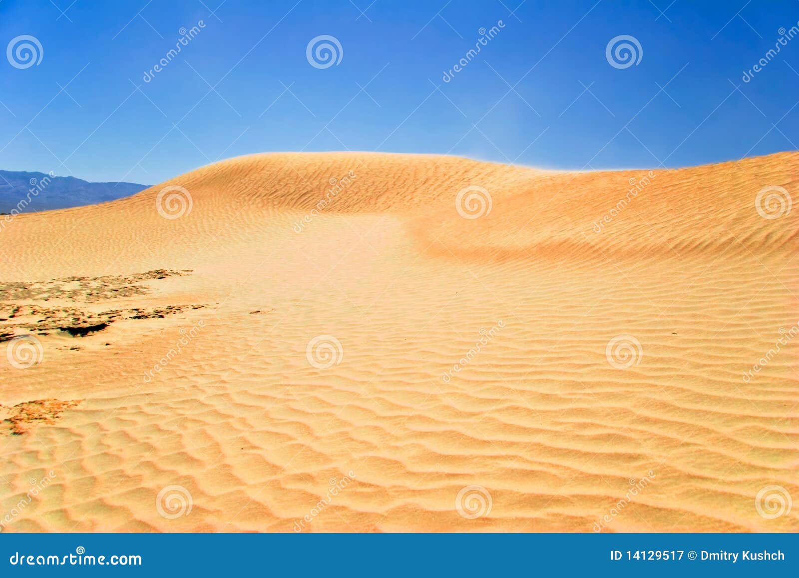 Lifeless landscape stock image. Image of desolate, canyon - 14129517