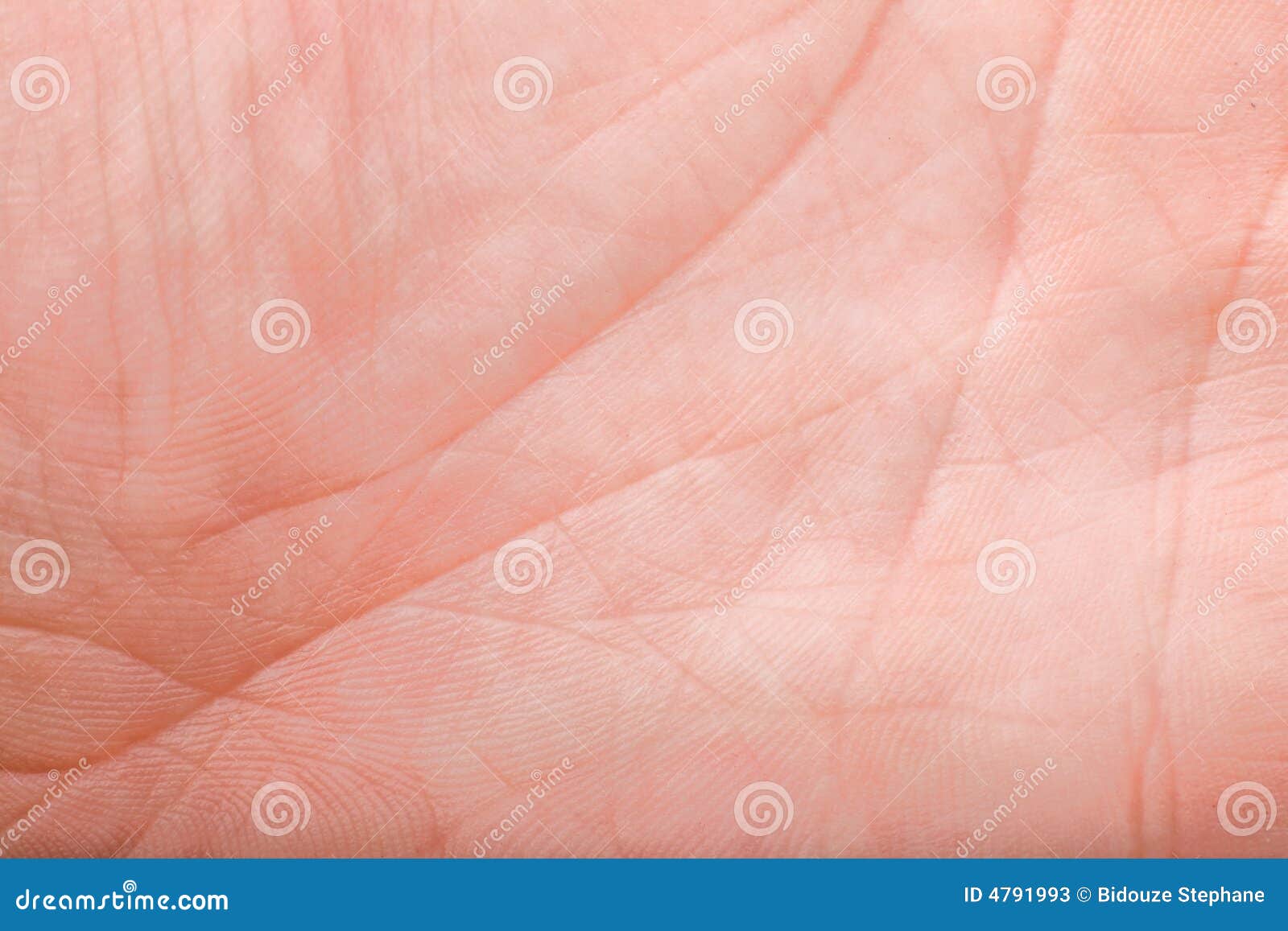 Lifeline Macro on Male Hand Stock Image - Image of dermatology ...